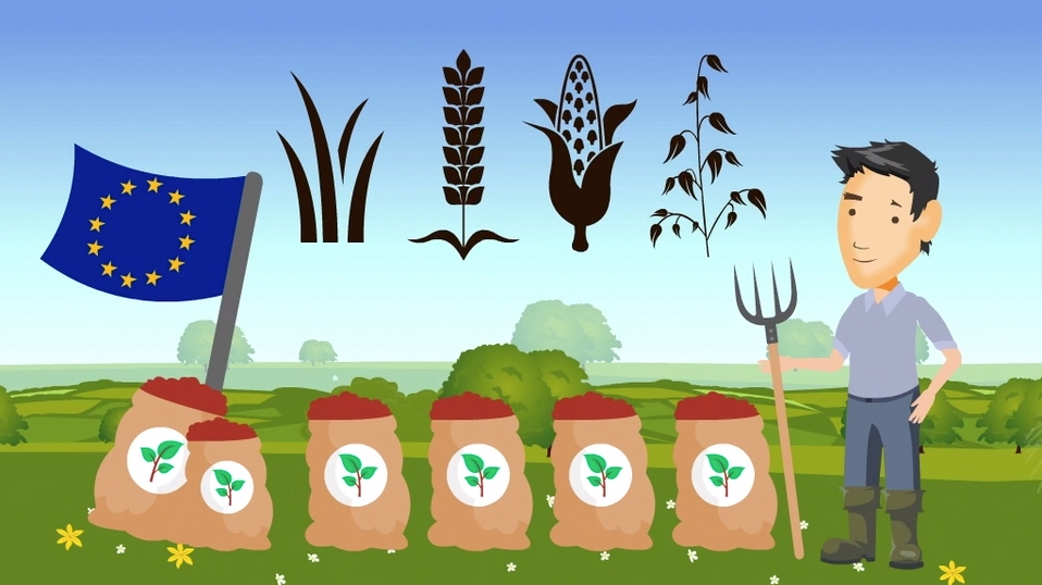 Igloo Animations - Award-Winning Animated Explanation Videos